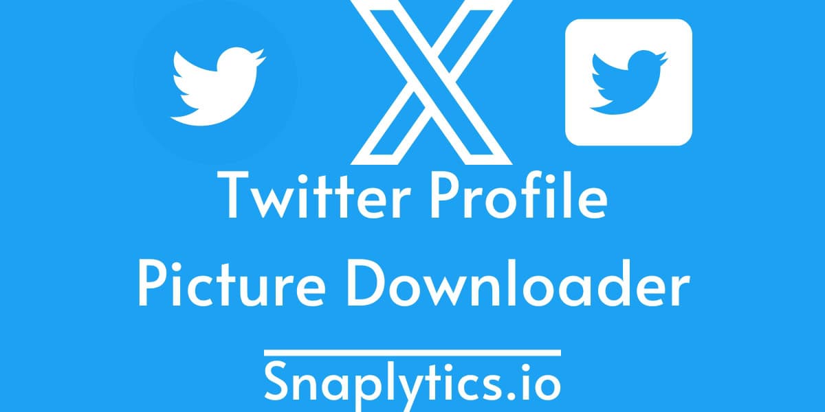 Tải Ảnh Đại Diện Twitter / X | Snaplytics